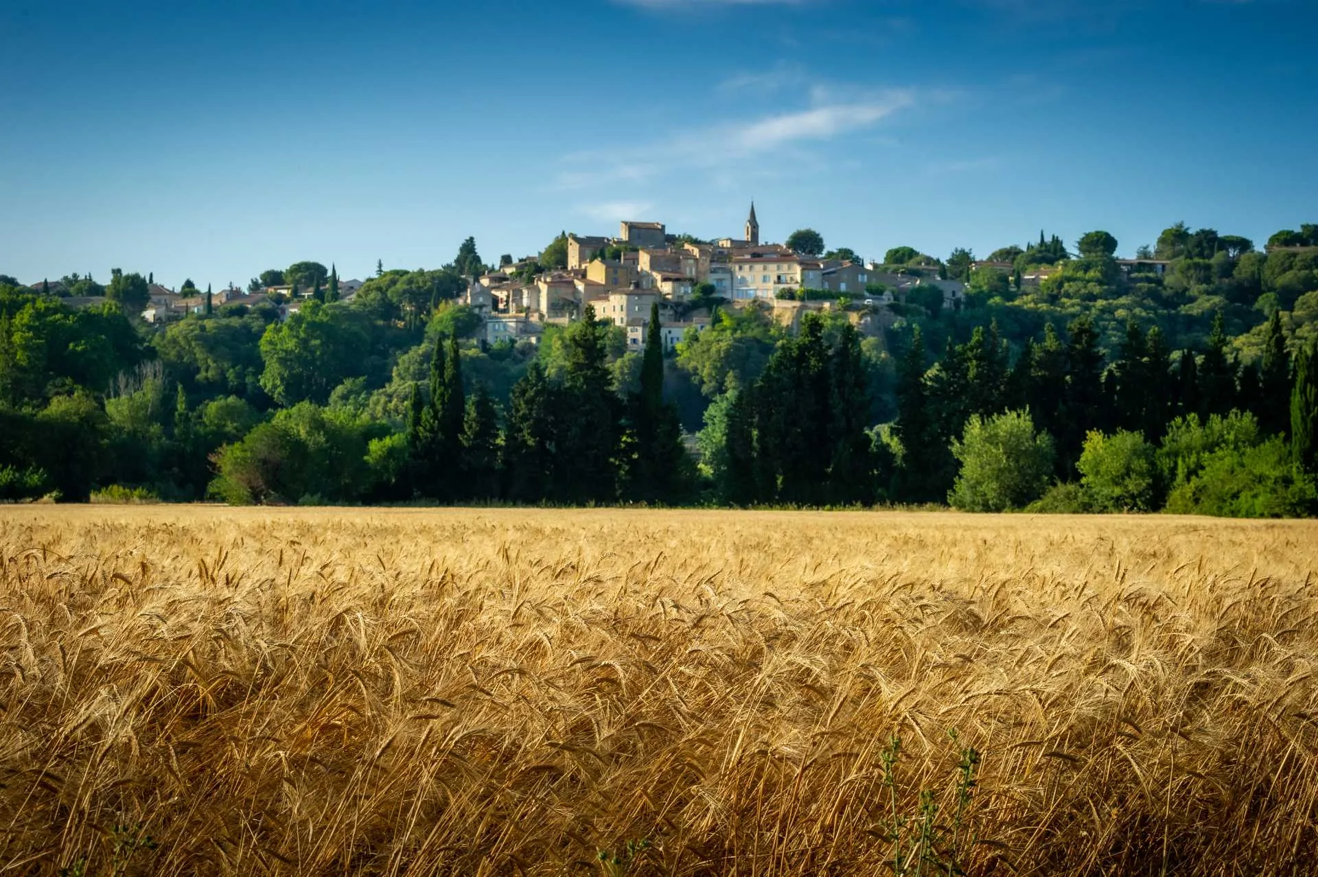 Découvrir Les Angles - Que voir que faire - Grand Avignon Tourisme