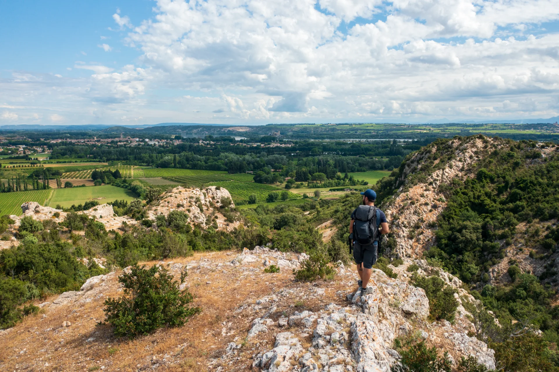 À travers vignes et garrigues en Provence - Grand Avignon Tourisme