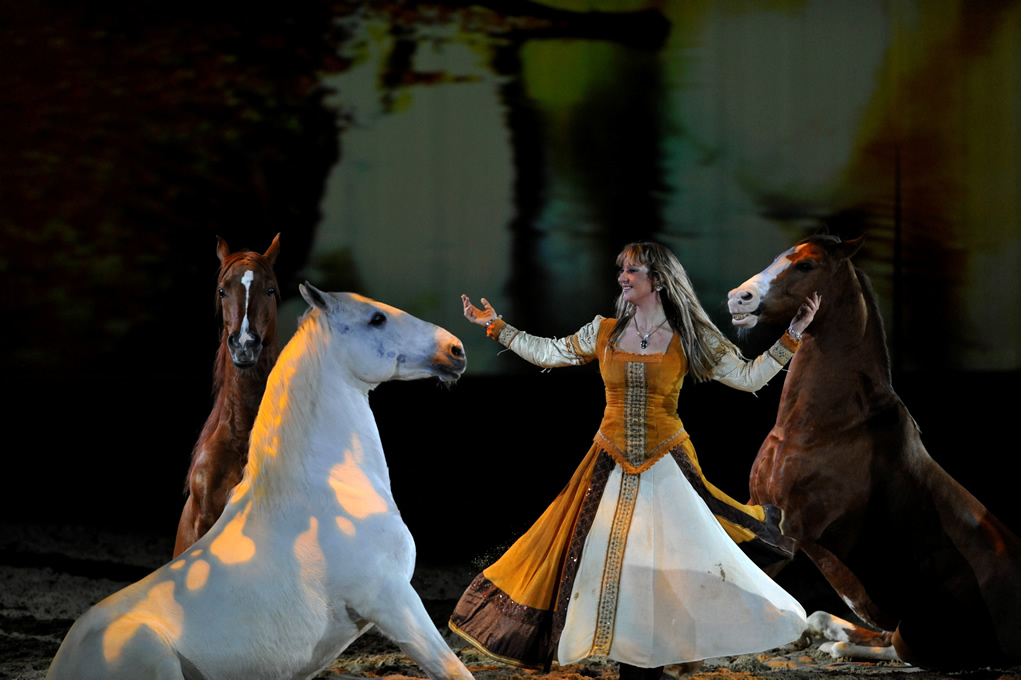 Cheval Passion 2026: 40 years of equestrian passion in Avignon! Grand ...